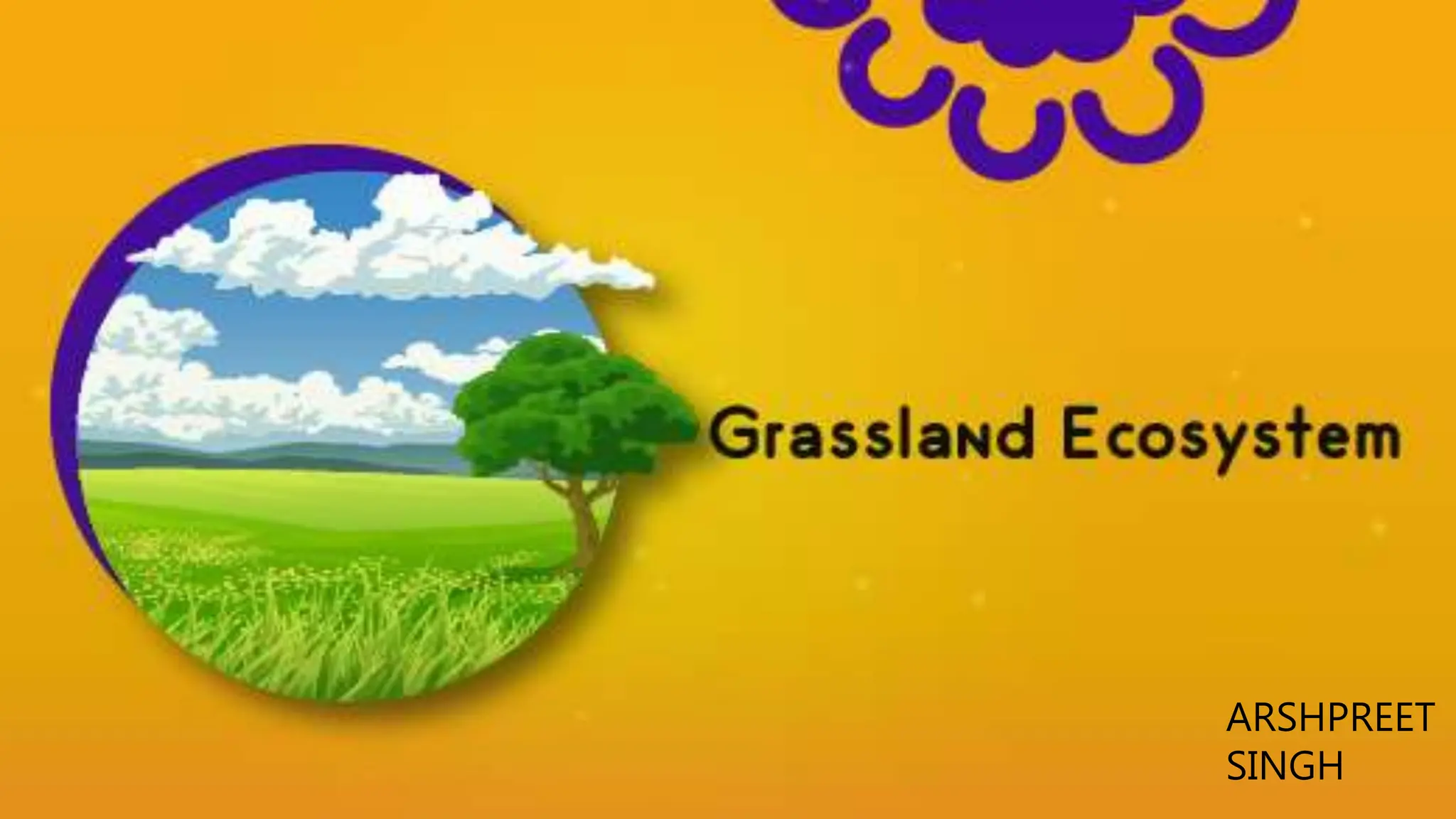 Grassland ecosystem , ecosystem, grasslands and lands | PPTX