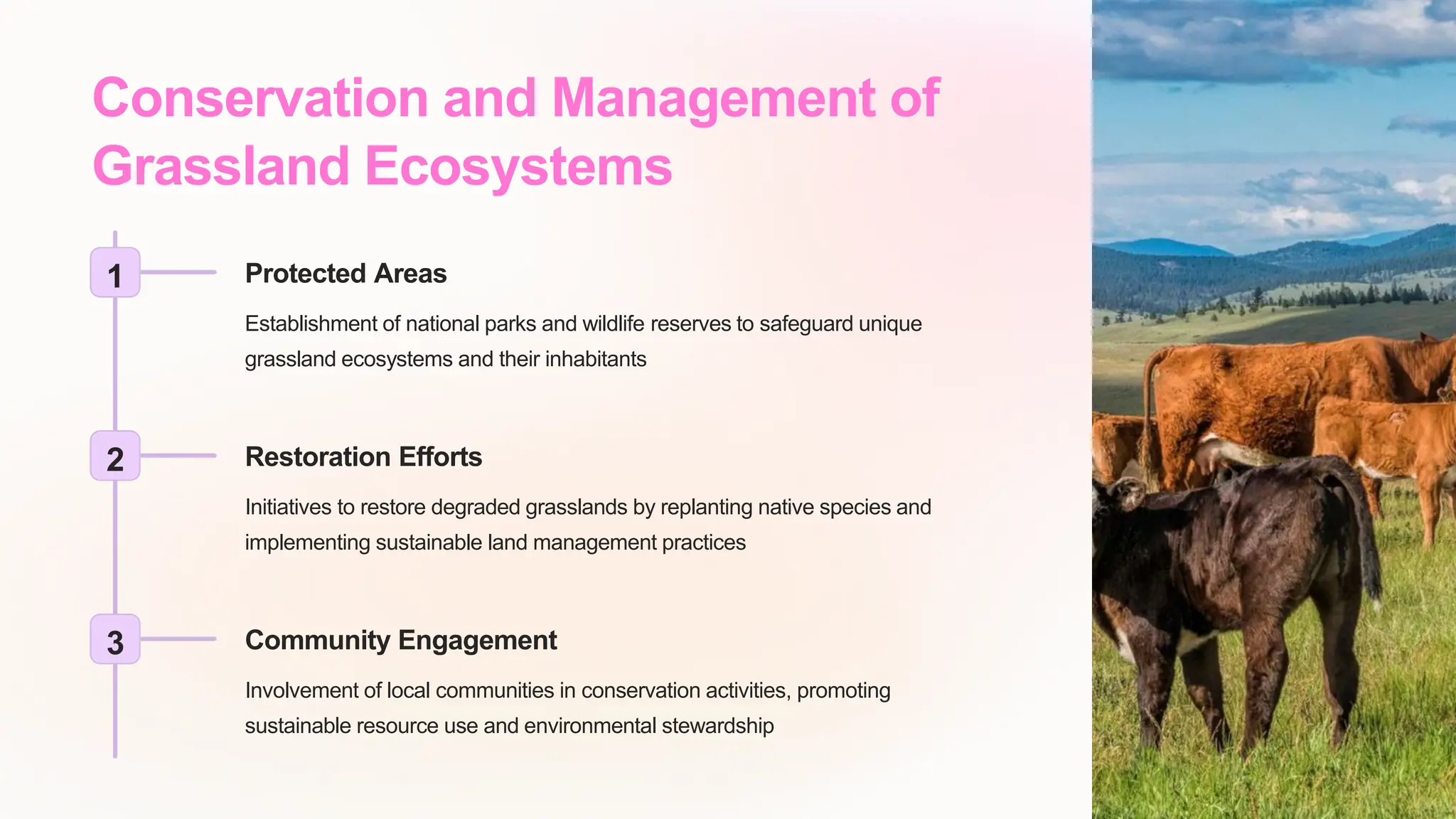 Grassland ecosystem , ecosystem, grasslands and lands | PPTX