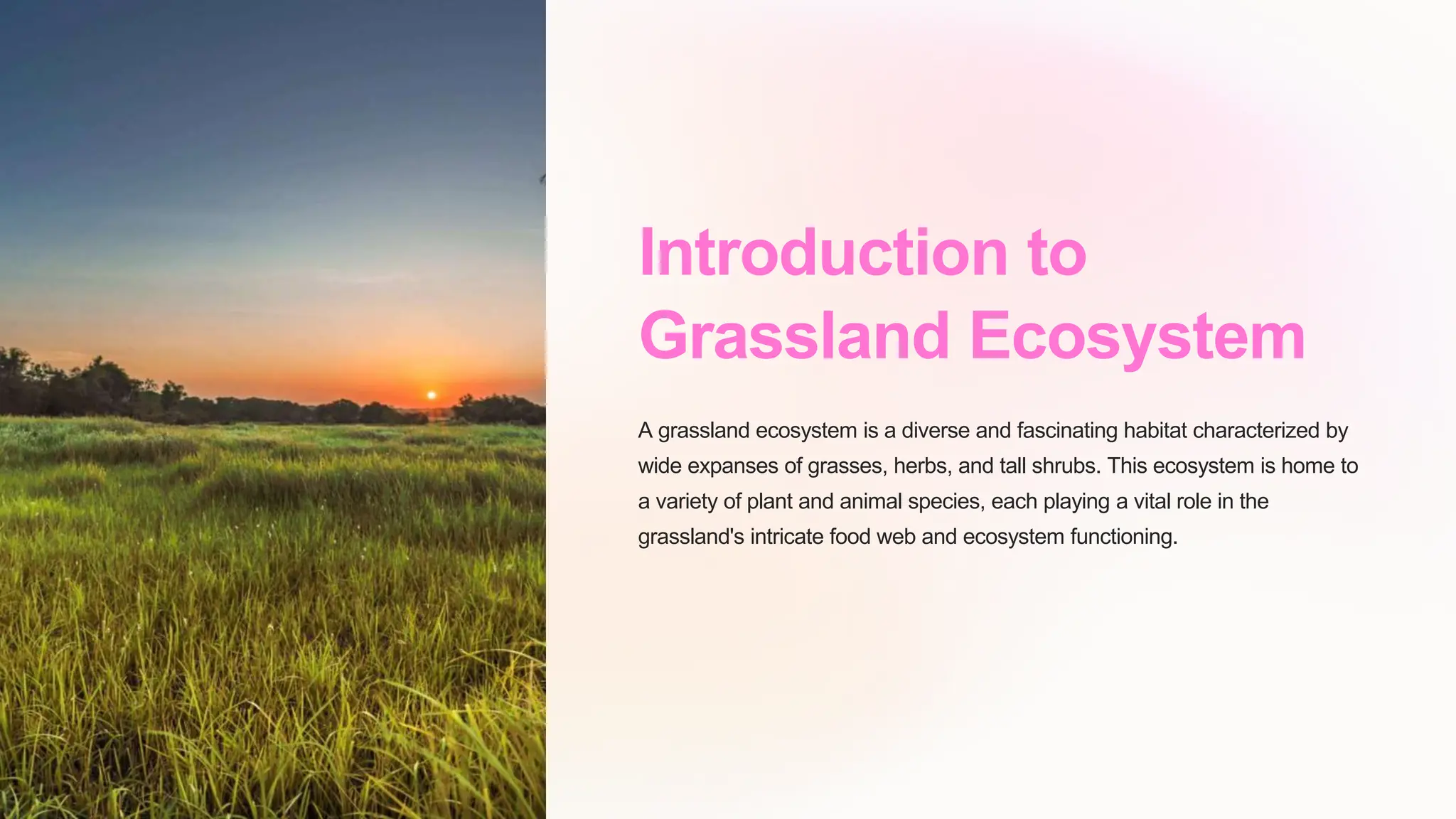 Grassland ecosystem , ecosystem, grasslands and lands | PPTX