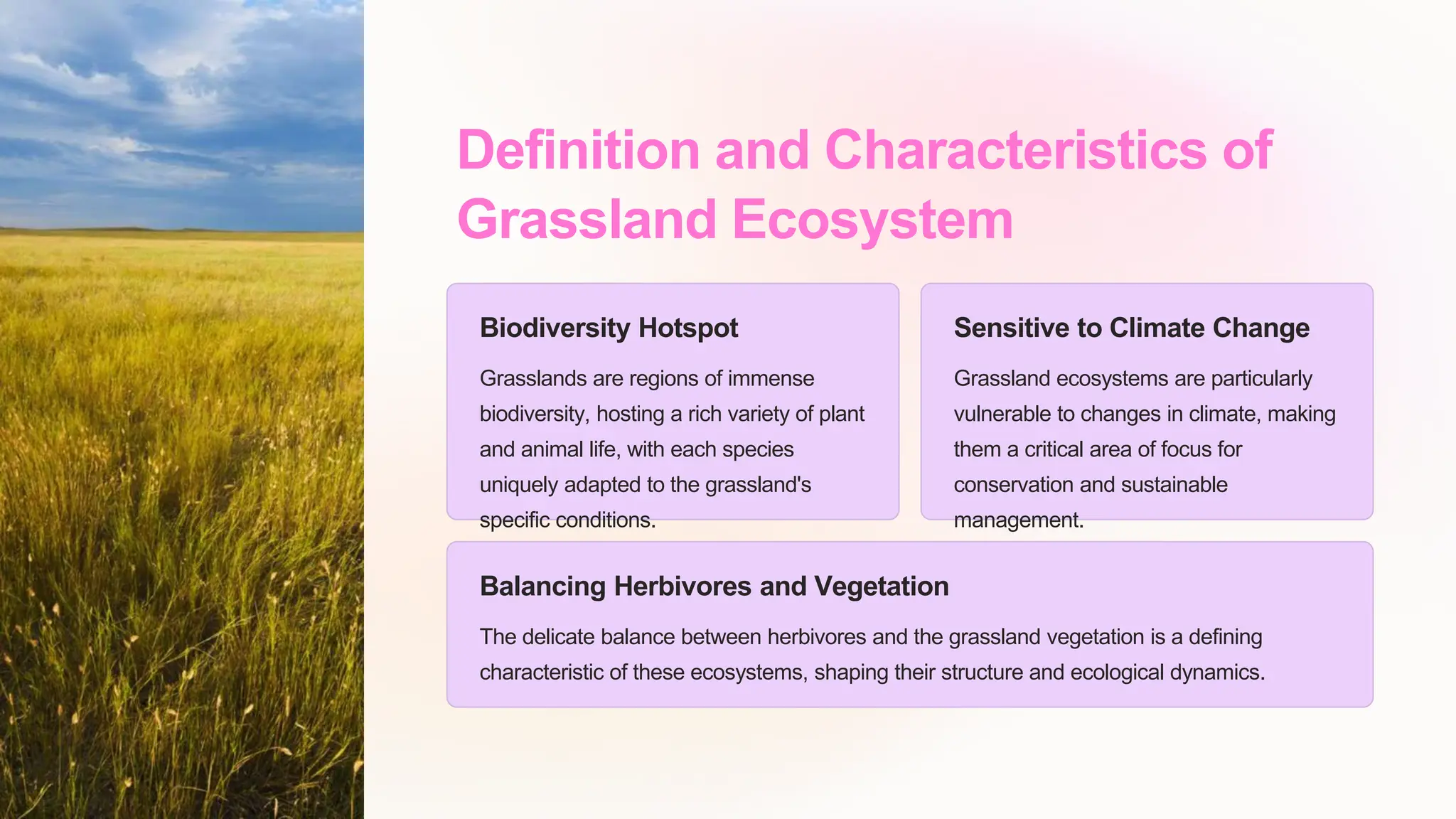 Grassland ecosystem , ecosystem, grasslands and lands | PPT