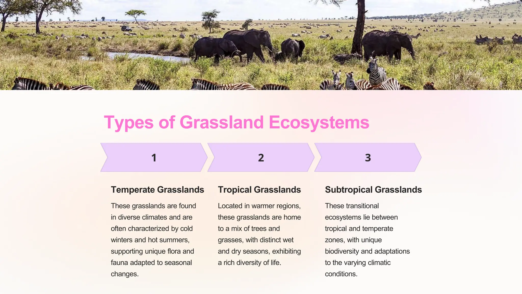 Grassland ecosystem , ecosystem, grasslands and lands | PPTX