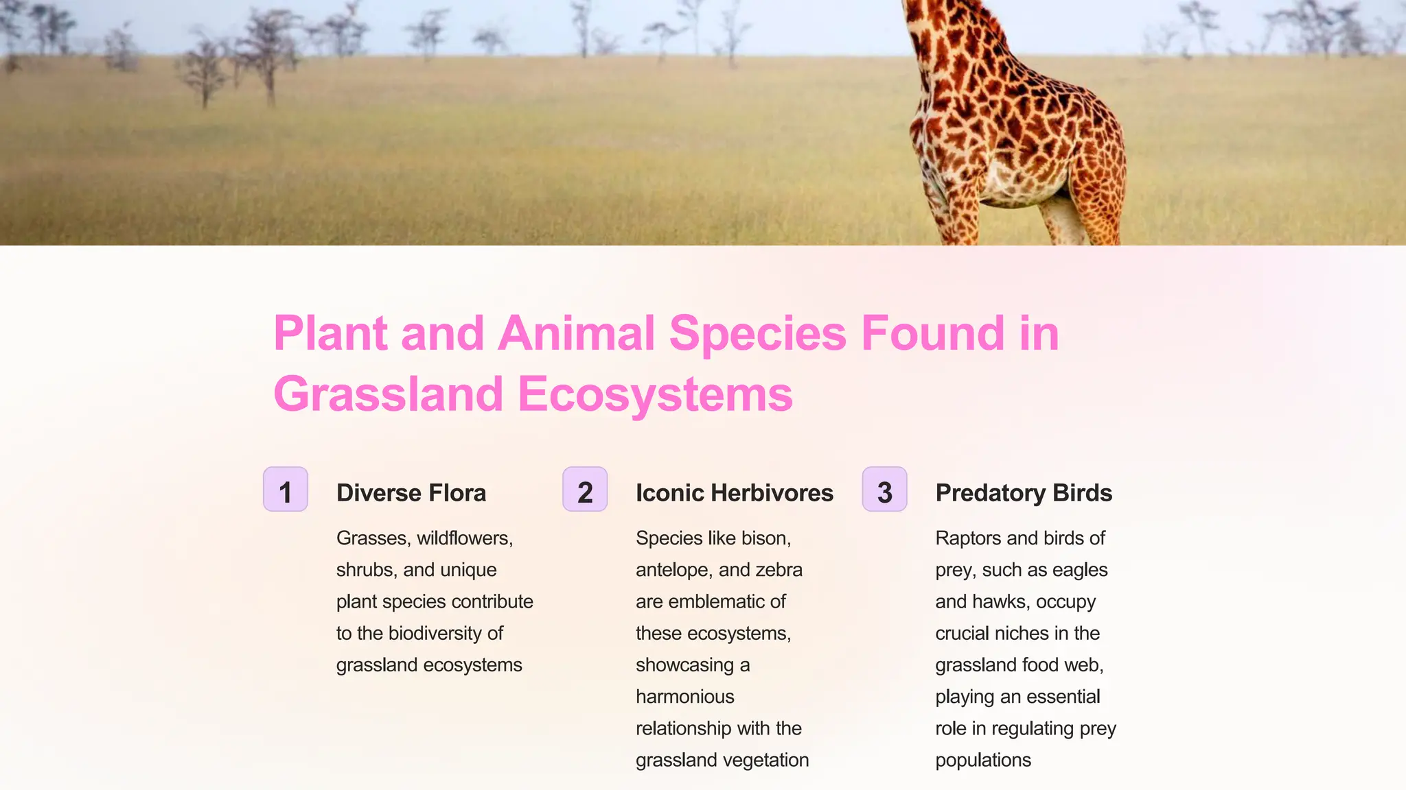 Grassland ecosystem , ecosystem, grasslands and lands | PPTX