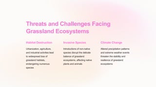 Grassland ecosystem , ecosystem, grasslands and lands | PPTX