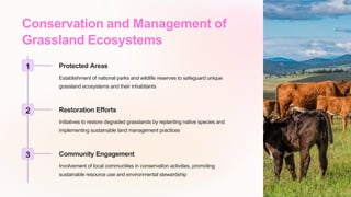 Grassland ecosystem , ecosystem, grasslands and lands | PPTX