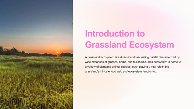 Grassland ecosystem , ecosystem, grasslands and lands | PPT | Free Download