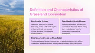 Grassland ecosystem , ecosystem, grasslands and lands | PPTX