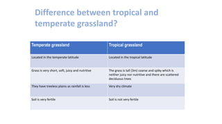 Grassland ecosystem , ecosystem, grasslands and lands | PPTX