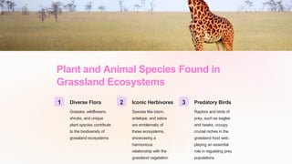 Grassland ecosystem , ecosystem, grasslands and lands | PPTX