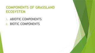 Explain about grassland ecosystem and its types needs and evolution | PPTX