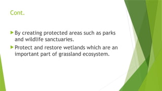 Explain about grassland ecosystem and its types needs and evolution | PPTX