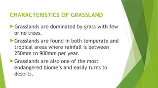 Explain about grassland ecosystem and its types needs and evolution | PPTX