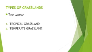 Explain about grassland ecosystem and its types needs and evolution | PPTX
