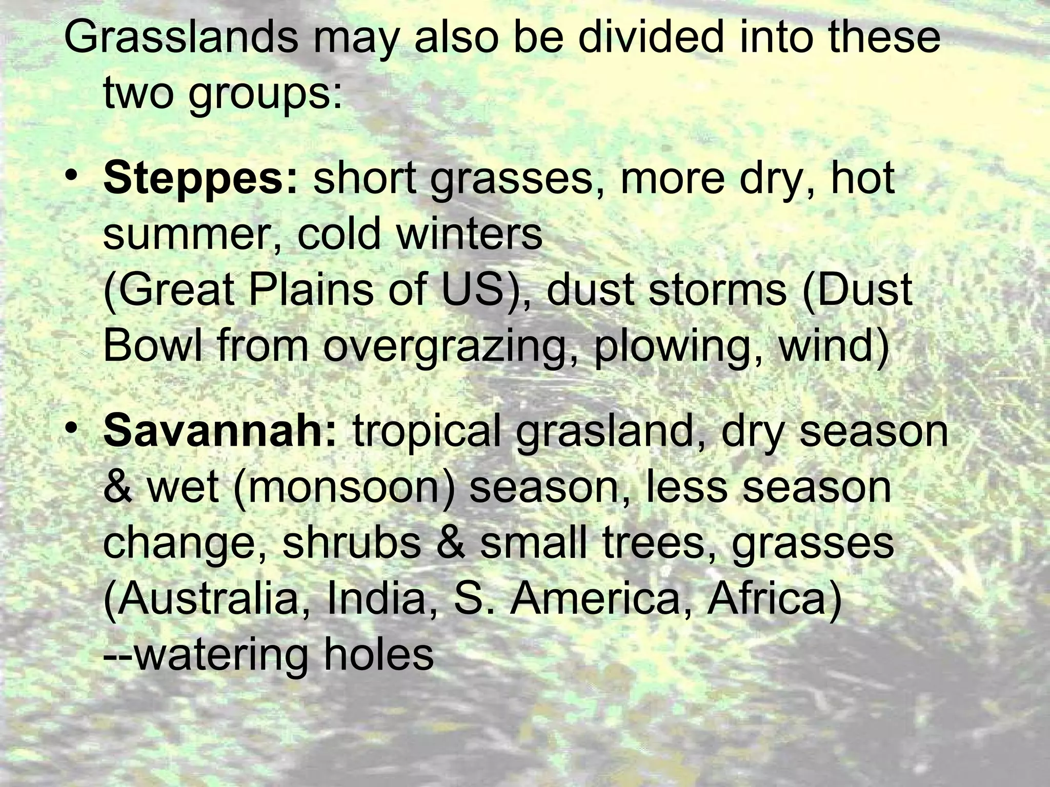 Grassland notes: Notes on world's grassland types & organisms ...