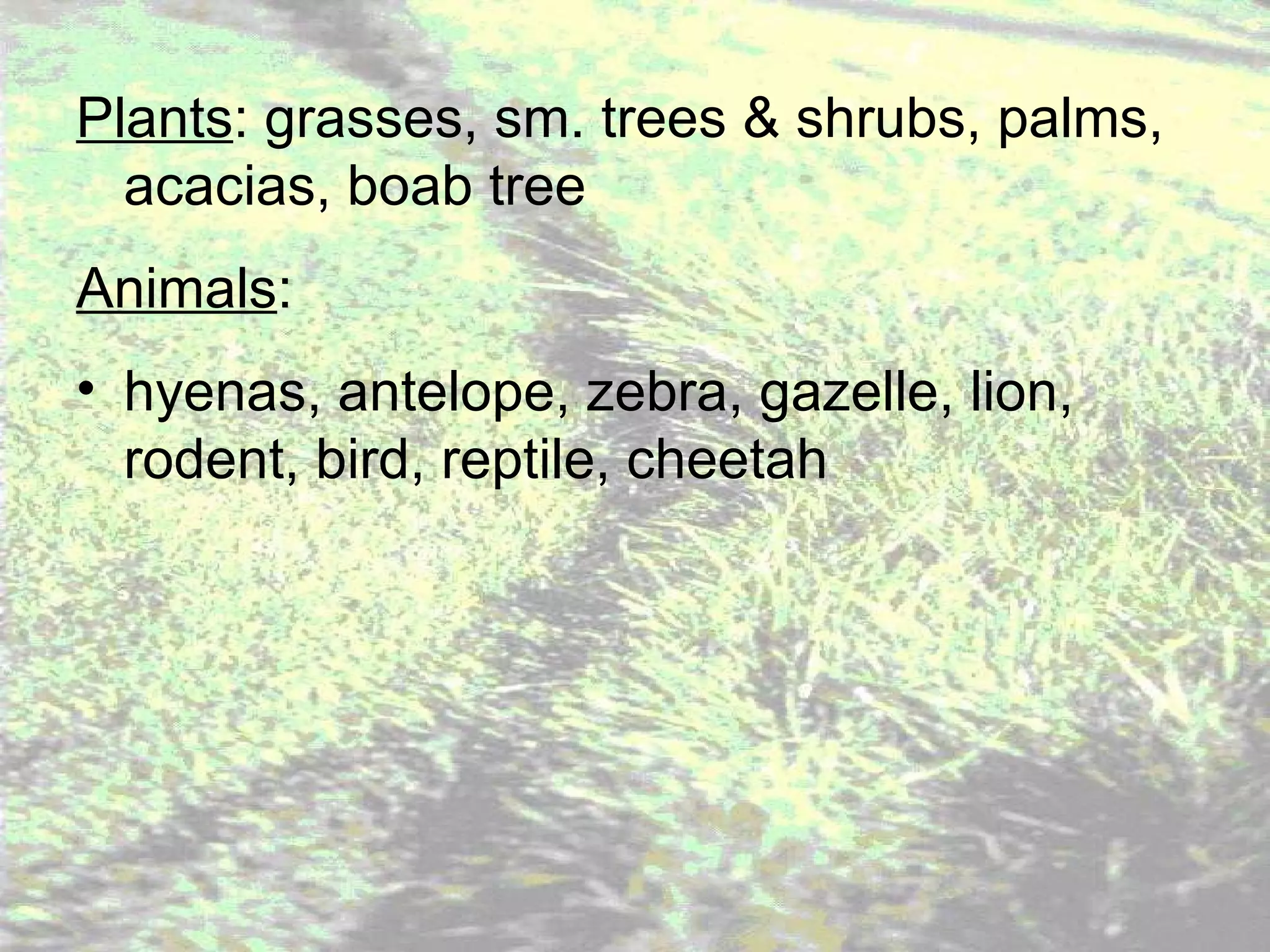 Grassland notes: Notes on world's grassland types & organisms ...