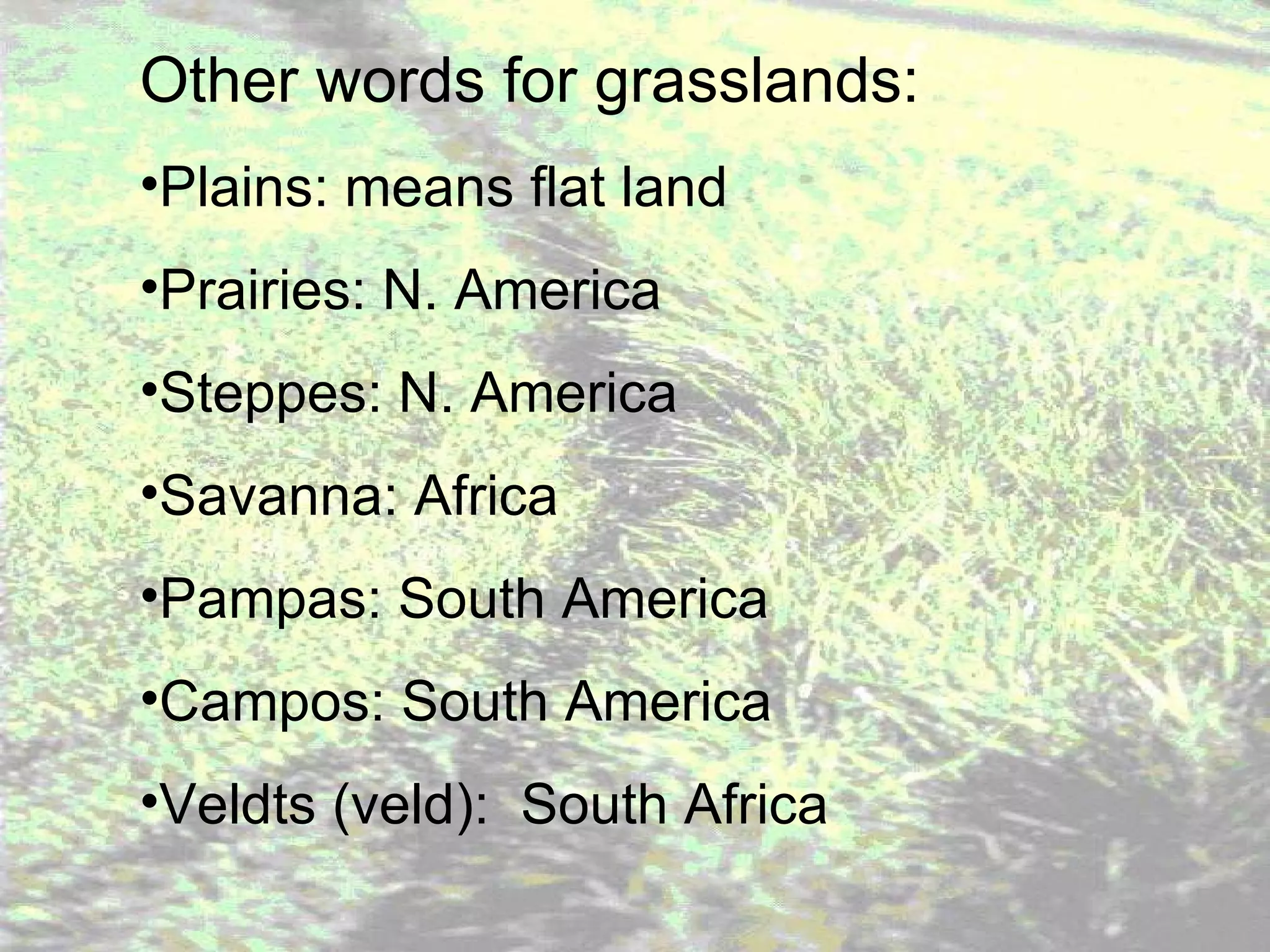 Grassland notes: Notes on world's grassland types & organisms ...