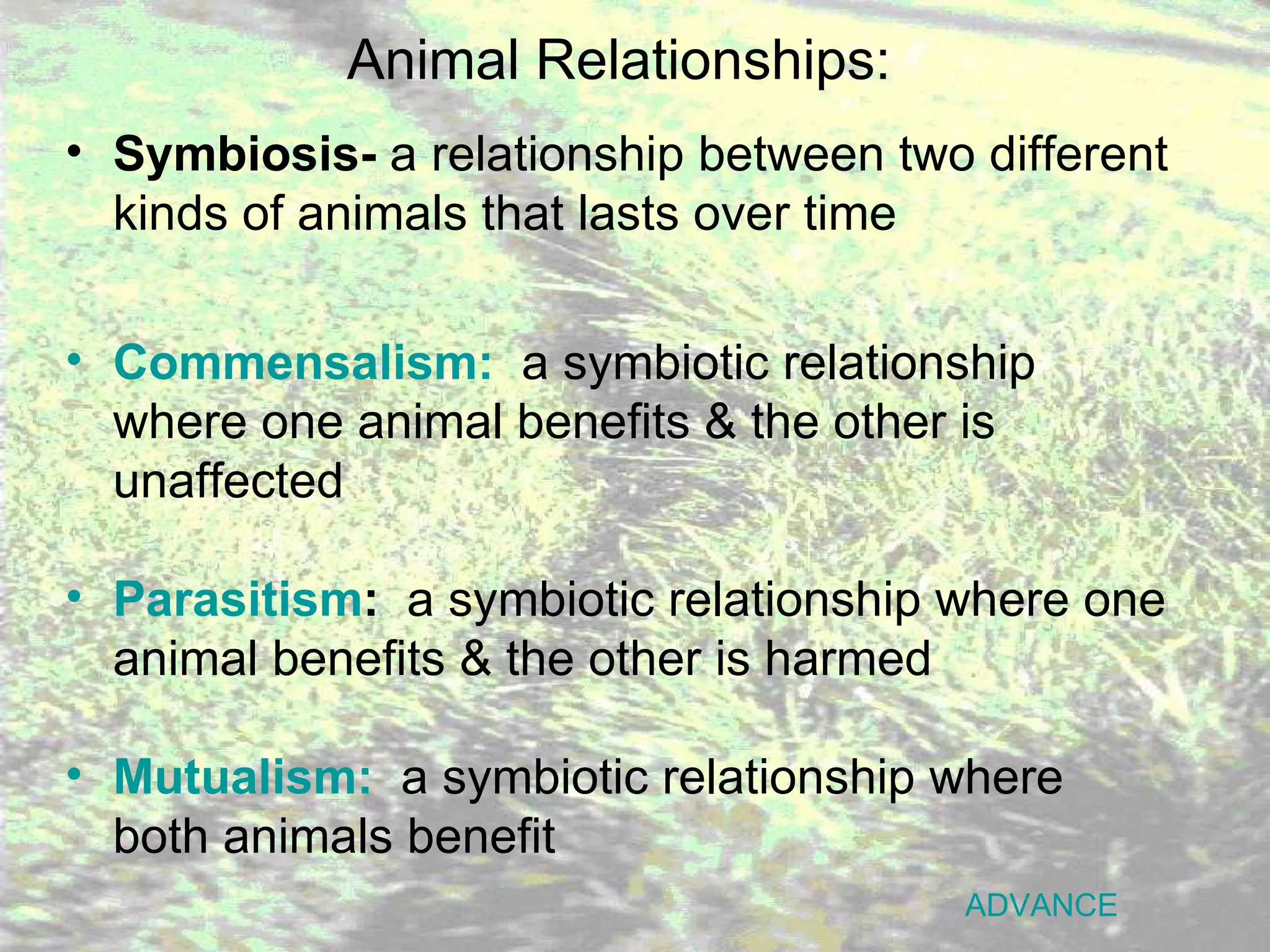 Grassland notes: Notes on world's grassland types & organisms ...