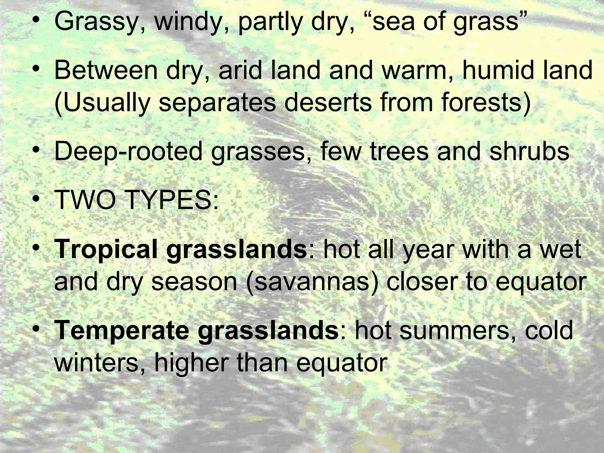 Grassland notes: Notes on world's grassland types & organisms ...