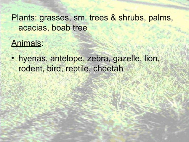 Grassland notes: Notes on world's grassland types & organisms ...