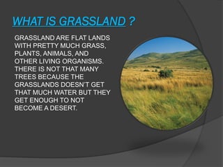 Grassland ....... | PDF