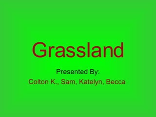 Grasslands | PDF | Geography | Science
