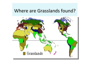 Grasslands | PPT