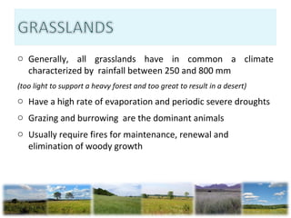 Grasslands | PPT