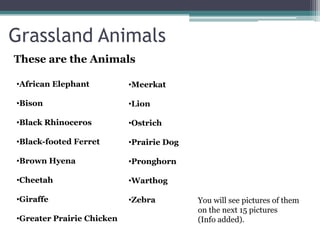 Grasslands | PPT
