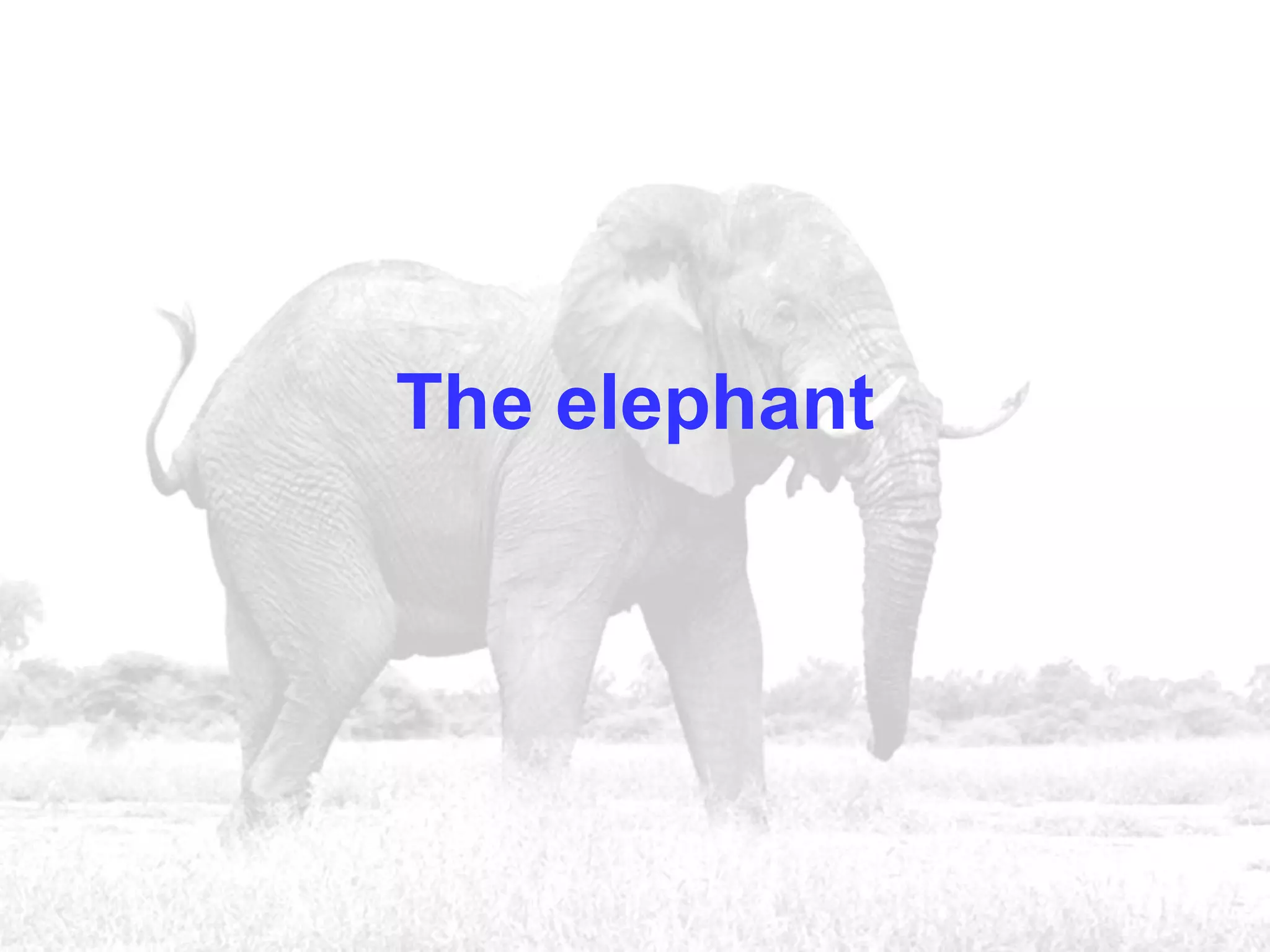 Grasslands animals | PPT