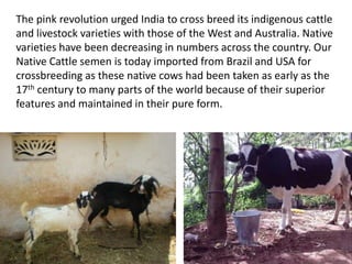 Grasslands of chitradurga | PPTX