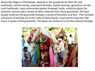 Grasslands of chitradurga | PPTX