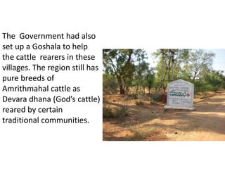 Grasslands of chitradurga | PPTX