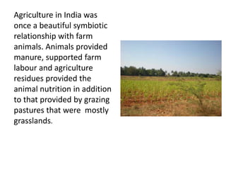 Grasslands of chitradurga | PPTX