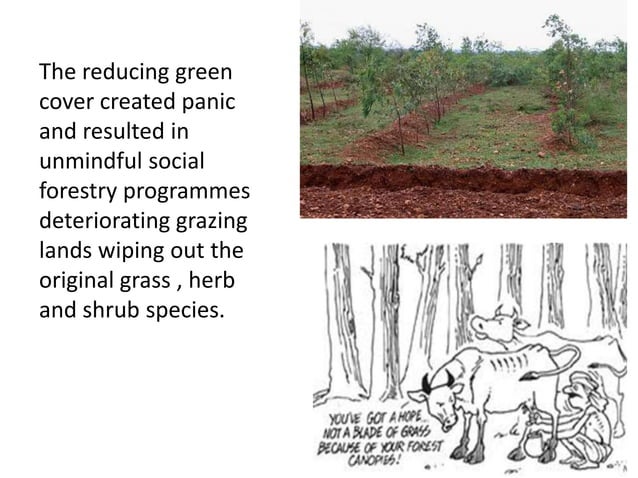 Grasslands of chitradurga | PPTX