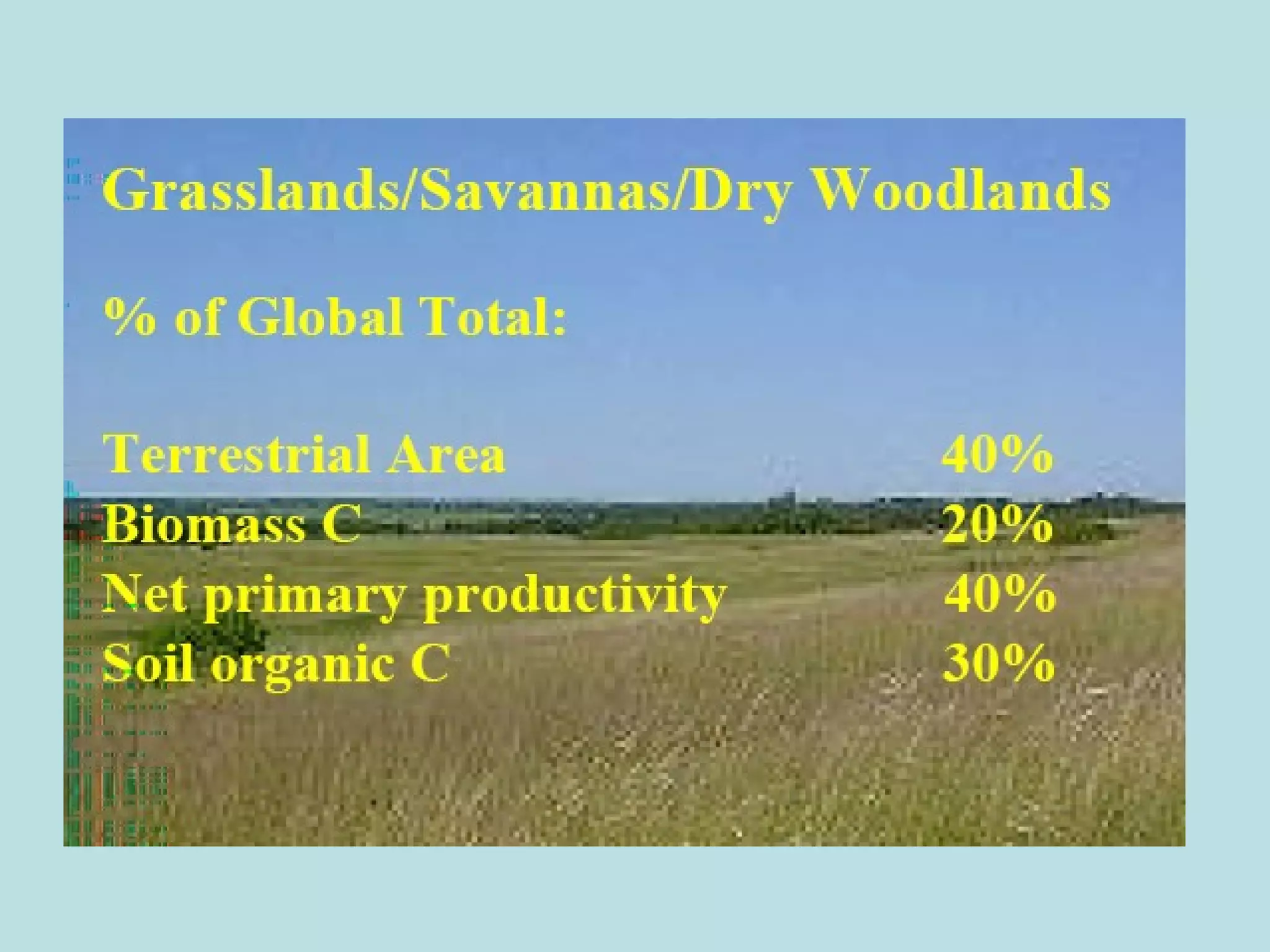 Grasslands slides | PPT