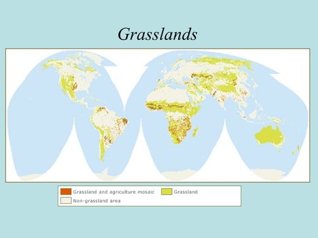 Grasslands slides | PPT