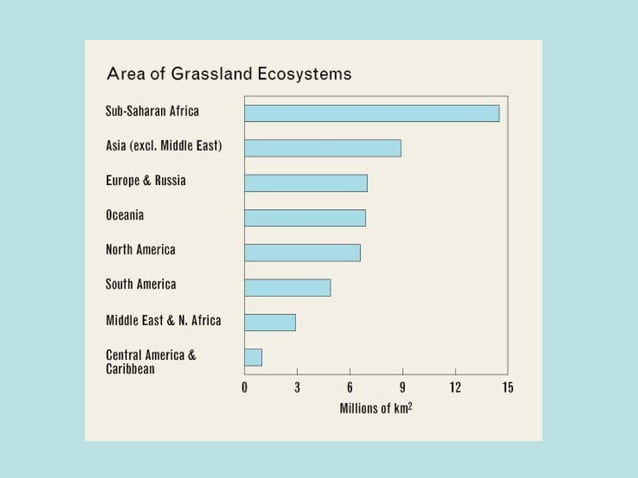 Grasslands slides | PPT