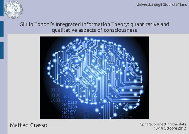 Giulio Tononi's Integrated Information Theory: quantitative and qualitative aspects of ...