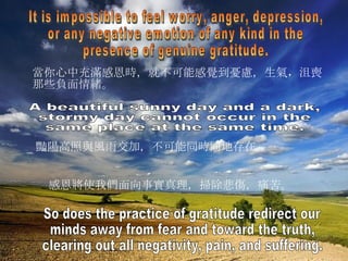 Gratitude | PPS