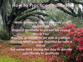 Gratitudeppt | PPTX