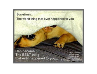 Gratitudes 2019 from Bill Swartz of Swartz Stories | PPT