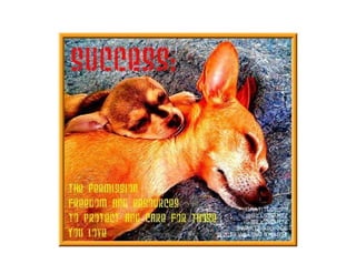 Gratitudes 2019 from Bill Swartz of Swartz Stories | PPT