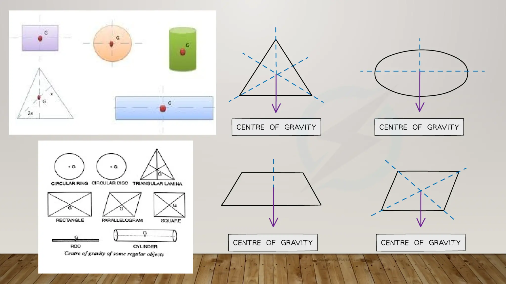 THE BIOMECHANICS & KINESIOLOGY OF GRAVITY.pptx