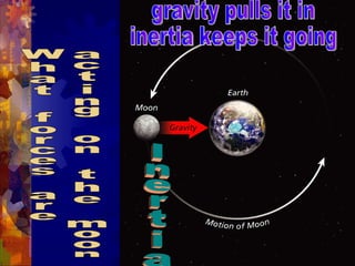 Gravity and laws of motion power point2 | PPT
