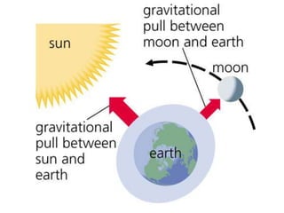 Gravity and motion | PPT