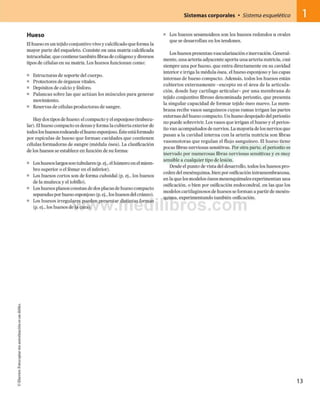 Gray anatomia para_estudiantes_3_opt | PDF