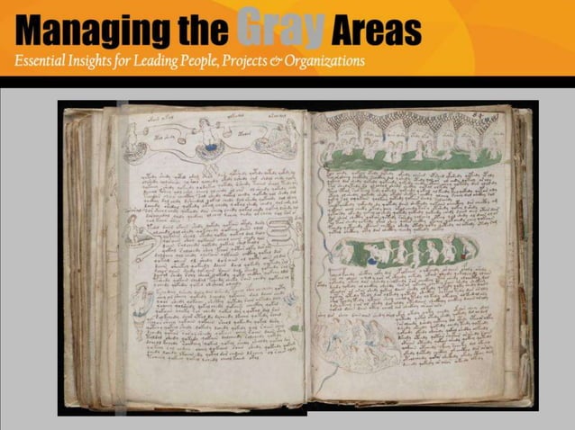 Managing the Gray Areas | PPT