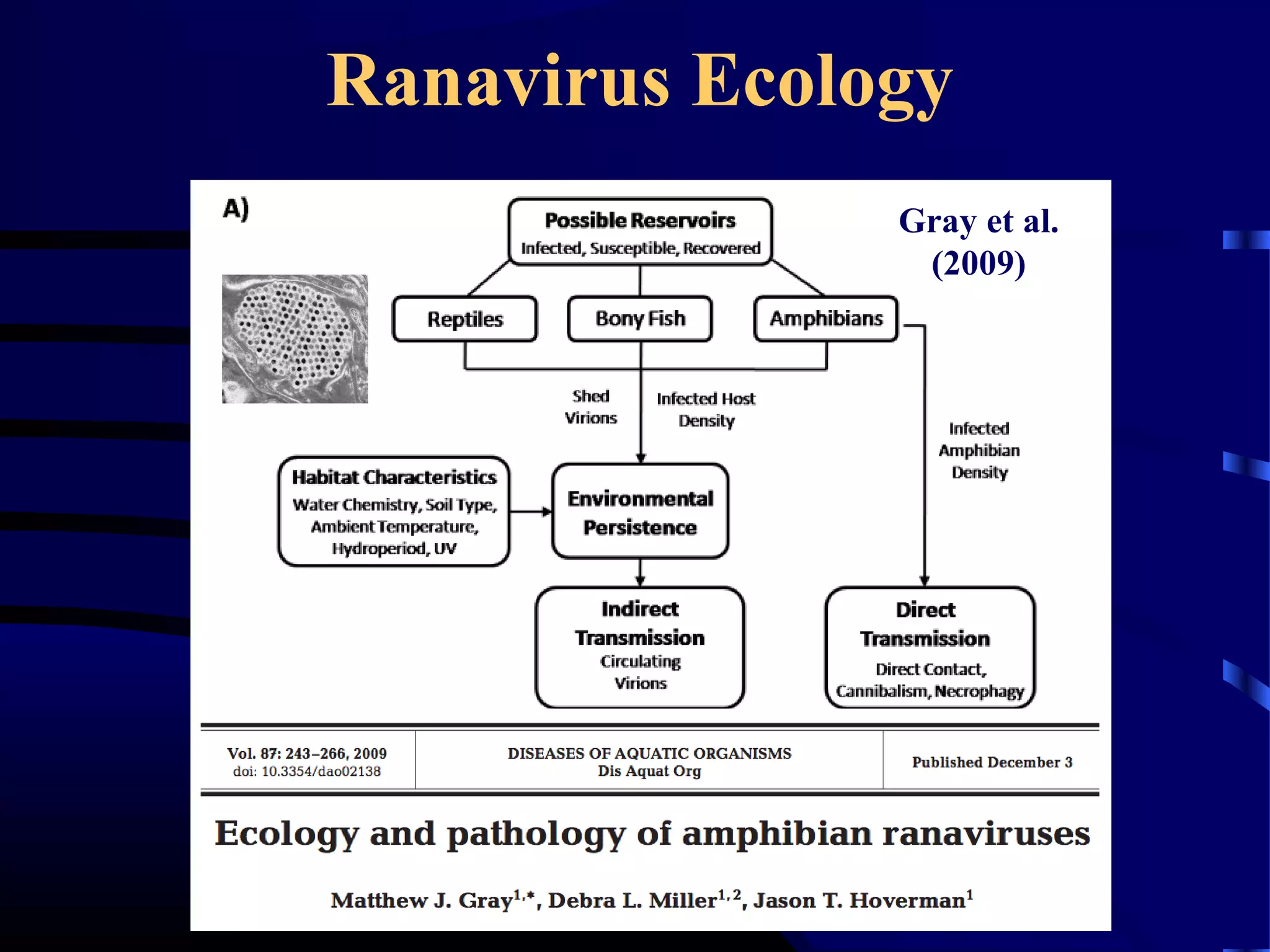 Ecology and Epidemiology of Ranaviruses | PPT