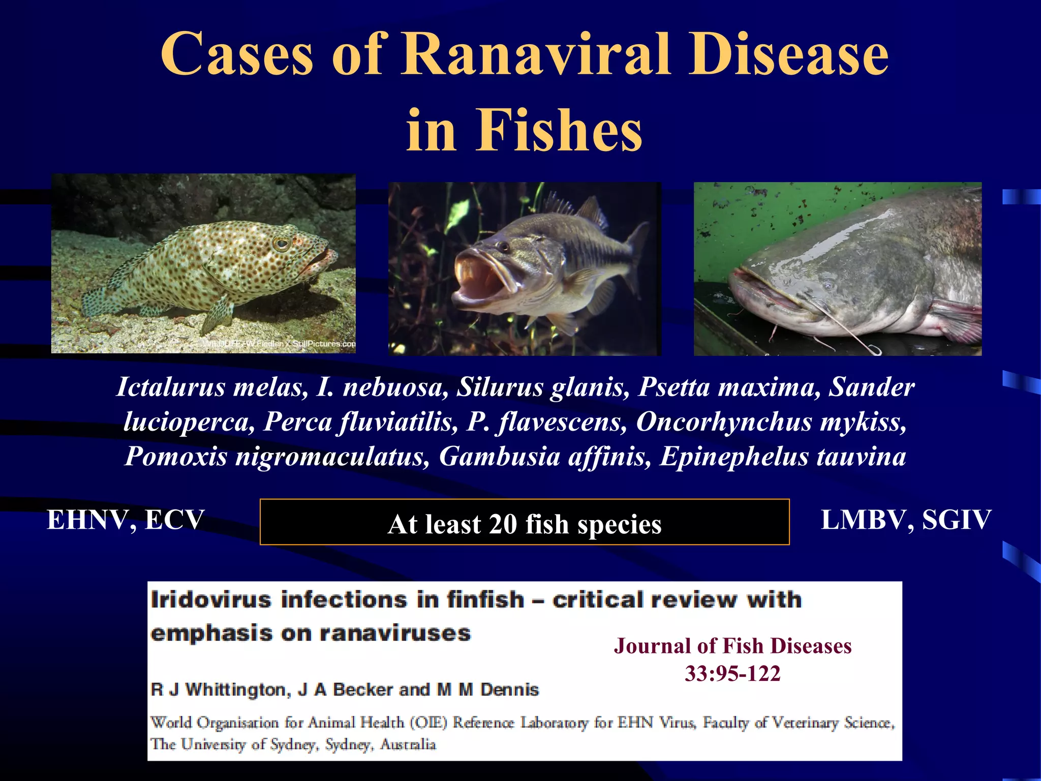 Ecology and Epidemiology of Ranaviruses | PPT