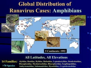 Ecology and Epidemiology of Ranaviruses | PPT