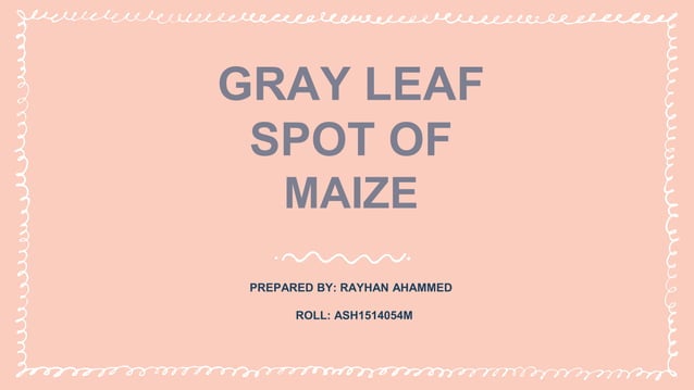 Gray leaf spot of maize | PPT